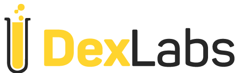 Dexlabs Inc. – A Full-Service Consulting Firm